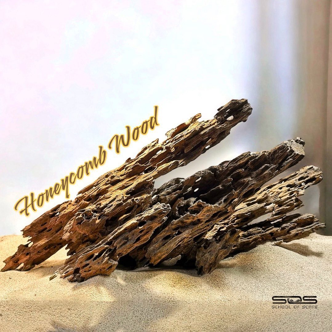 Honeycomb Wood - Premium Aquascaping Driftwood | School Of Scape