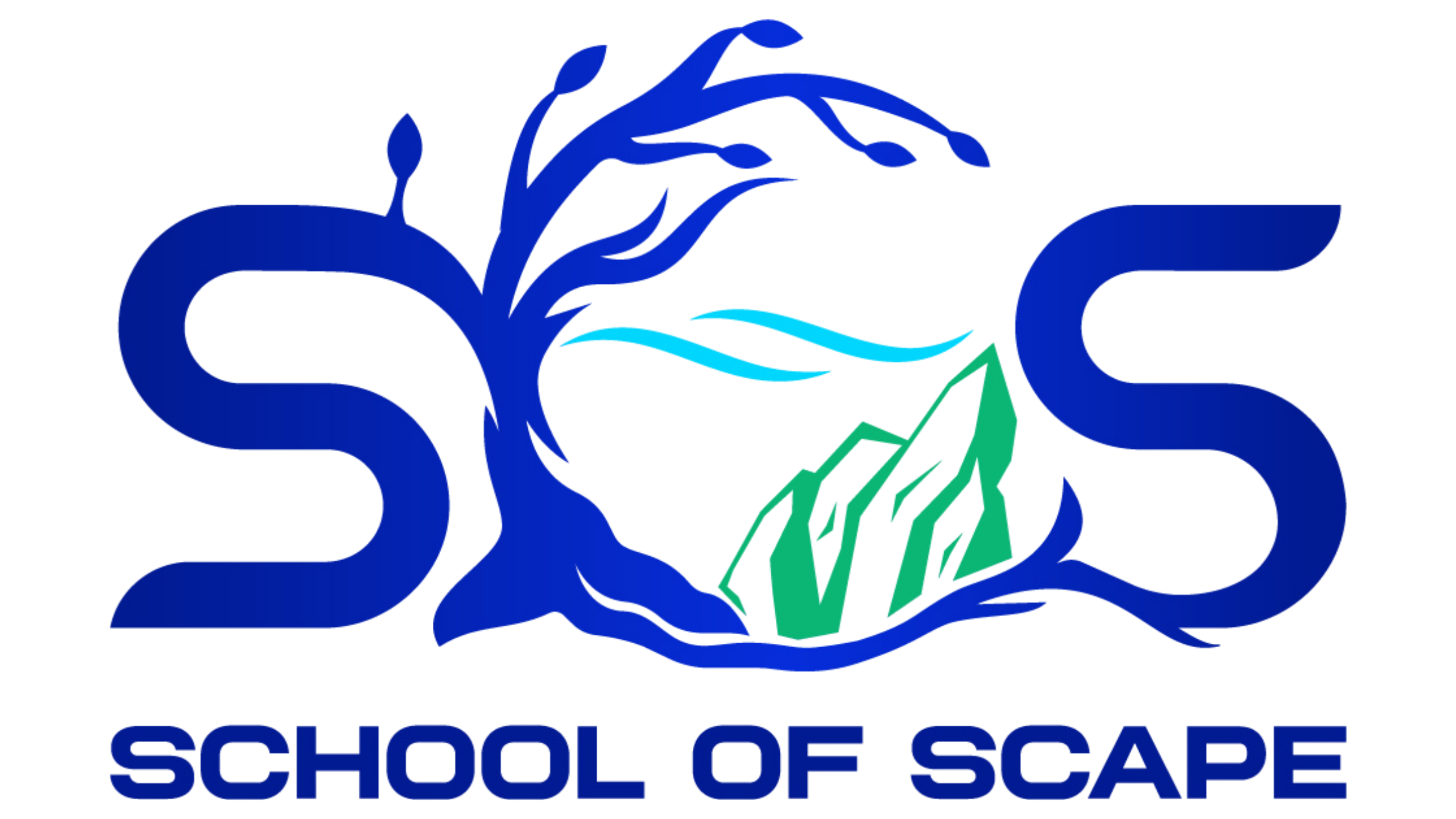 Aquascape Design & Maintenance – School Of Scape