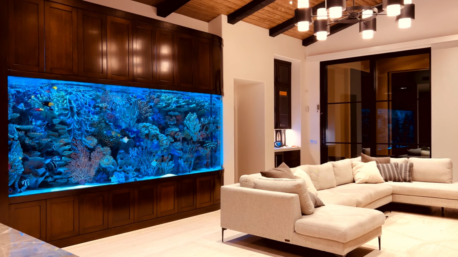 About us – School Of Scape