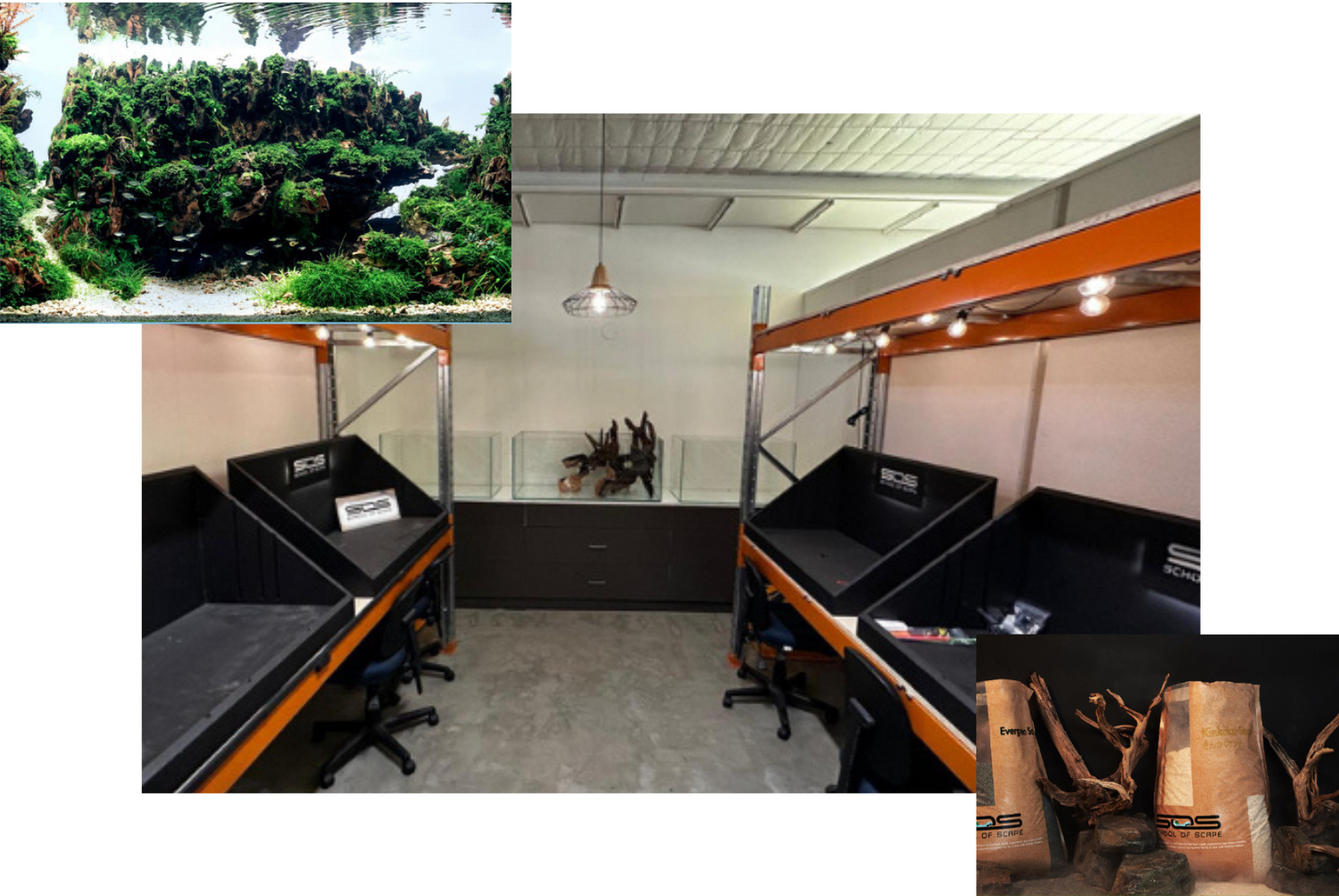 Aquascaping workshop – School Of Scape