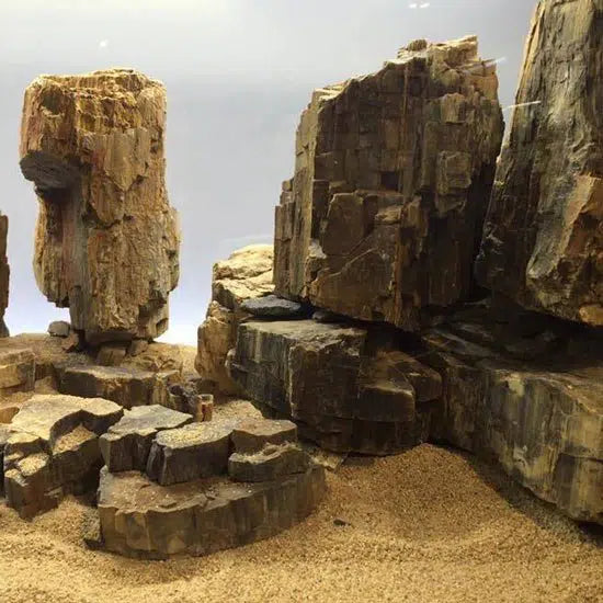 Petrified Wood aquarium stone fossil wood aquascaping rock – School Of ...