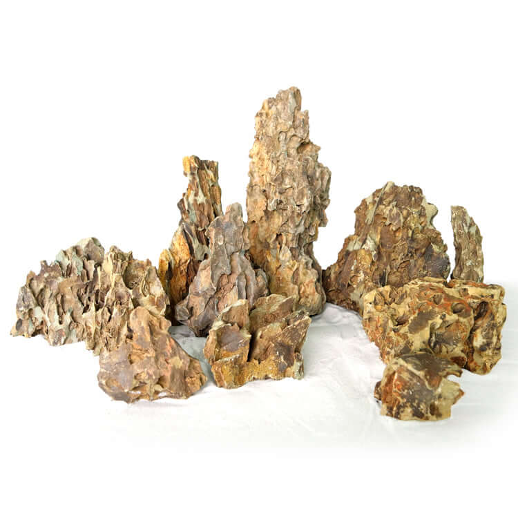 Buy Best Dragon Stone (Ohko Stone) for Aquarium – School Of Scape