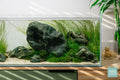 Buy Low Price Hakkai Stone for Aquarium: Japanese-Inspired Serenity ...